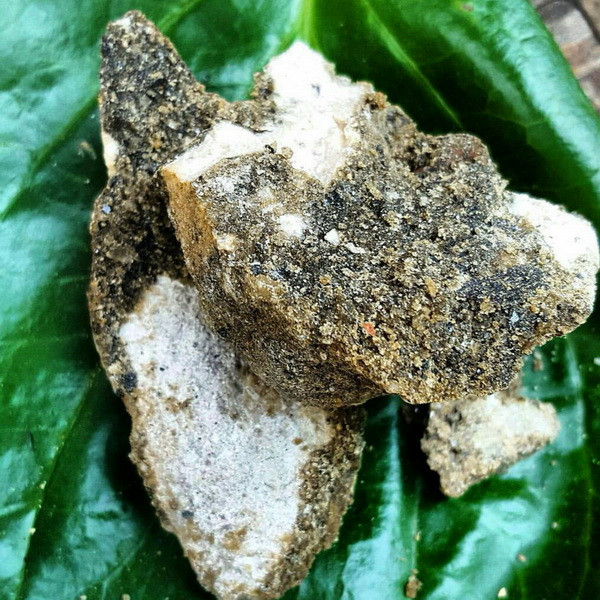 Article - 5 Rempah Unik Khas Kuliner Bali | Indonesian Chef Association