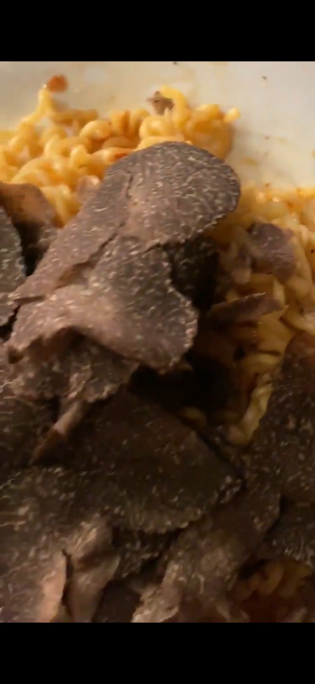 Article - Fakta Menarik Tentang Jamur Truffle | Indonesian Chef Association