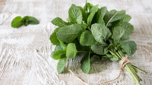 Article - 15 Jenis Daun untuk Masak | Indonesian Chef Association