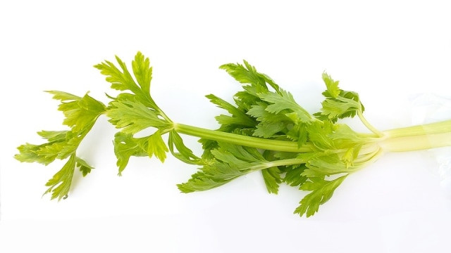 Article - 15 Jenis Daun untuk Masak | Indonesian Chef Association